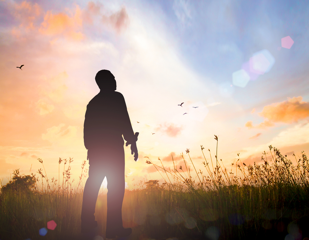 Temporal Lobe Epilepsy Hallucinations Could Be Controlled by Brain's ...